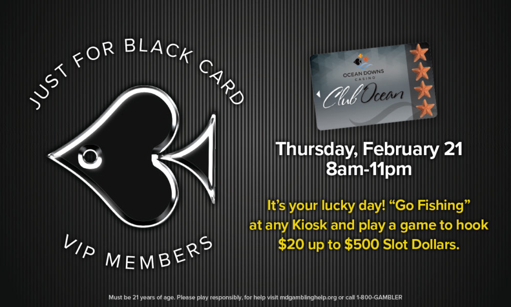 Ocean Downs | Casino & Horse Racing in Maryland